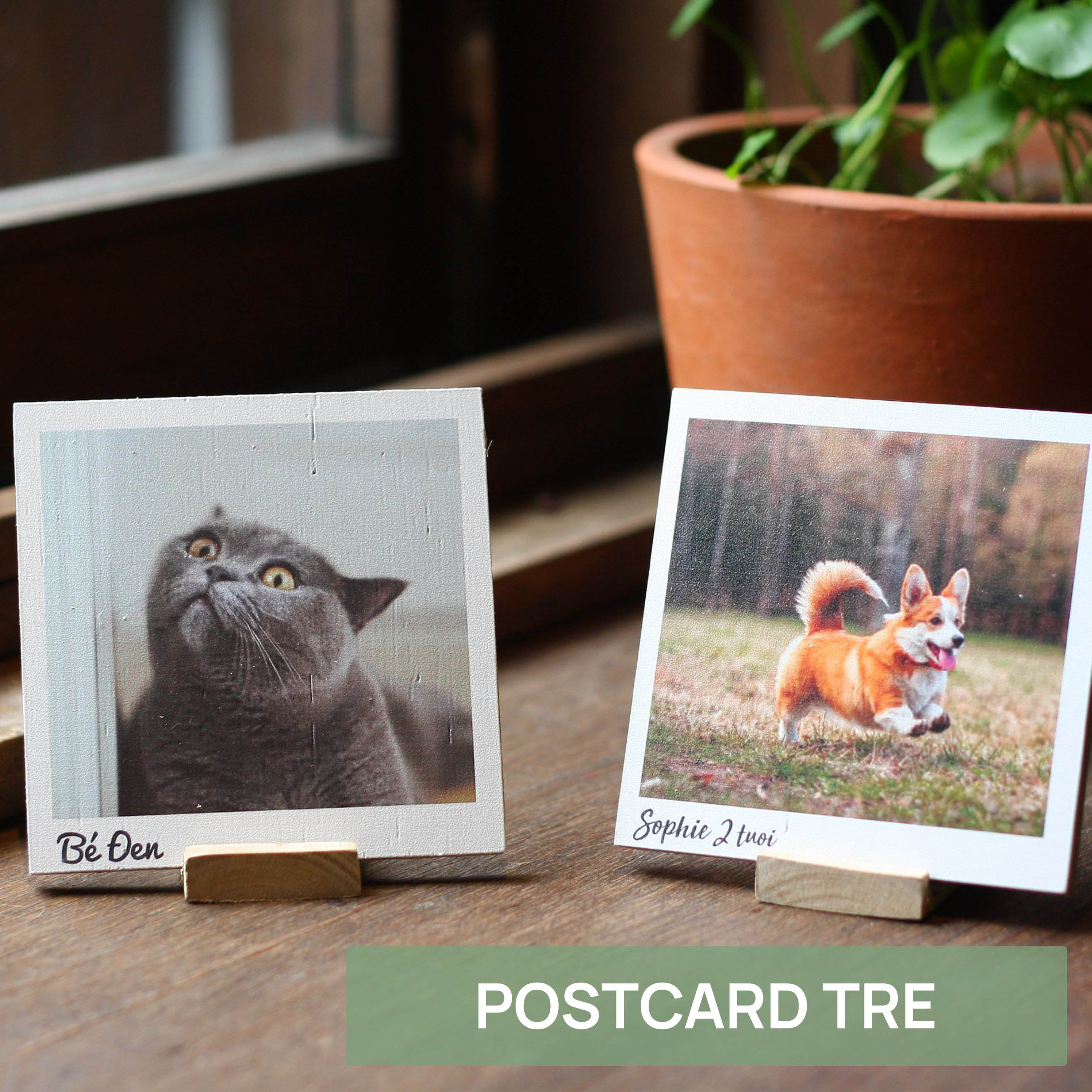 Postcards Tre – Mika Decor - a Brand of Maximus Accessories Co., Ltd